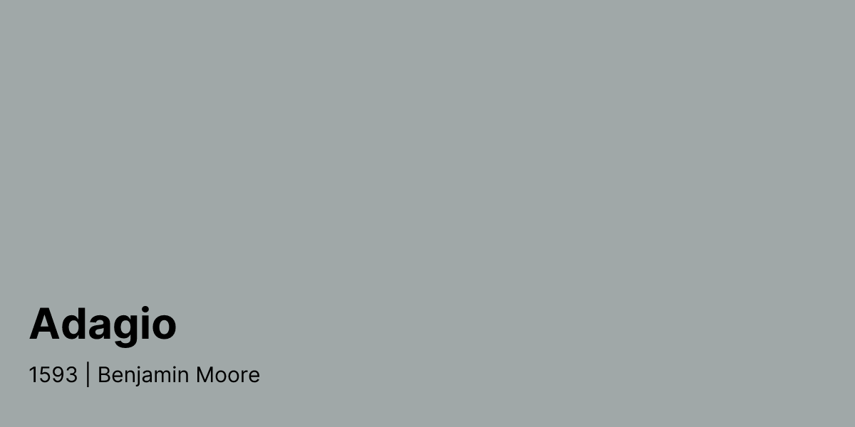 Benjamin Moore Adagio 1593 Paint Color | PaintPlan