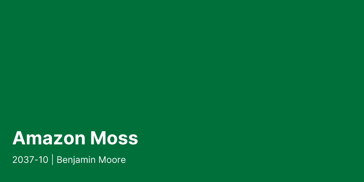 Benjamin Moore Amazon Moss 2037-10 Paint Color | PaintPlan