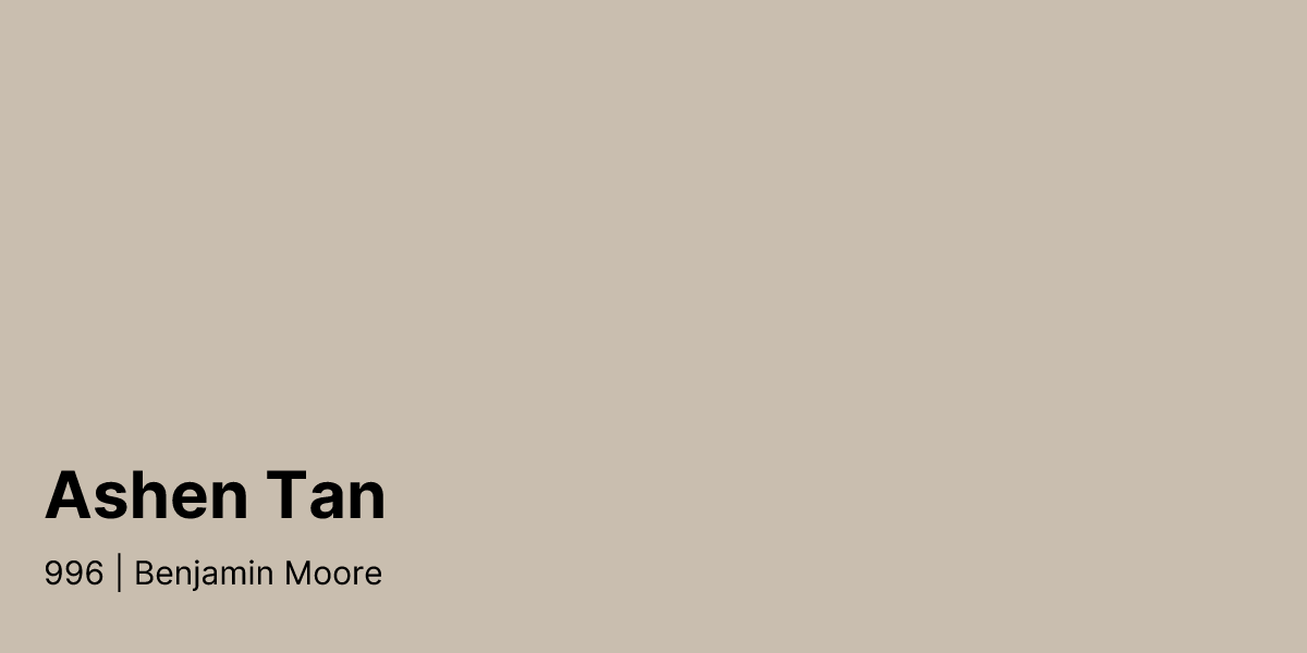 Benjamin Moore Ashen Tan 996 Paint Color | PaintPlan