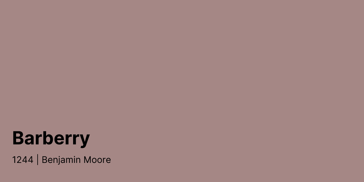Benjamin Moore Barberry 1244 Paint Color | PaintPlan