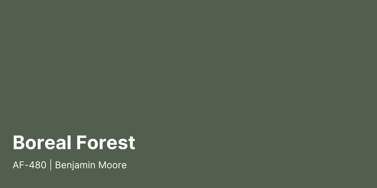 Benjamin Moore Boreal Forest AF-480 Paint Color | PaintPlan