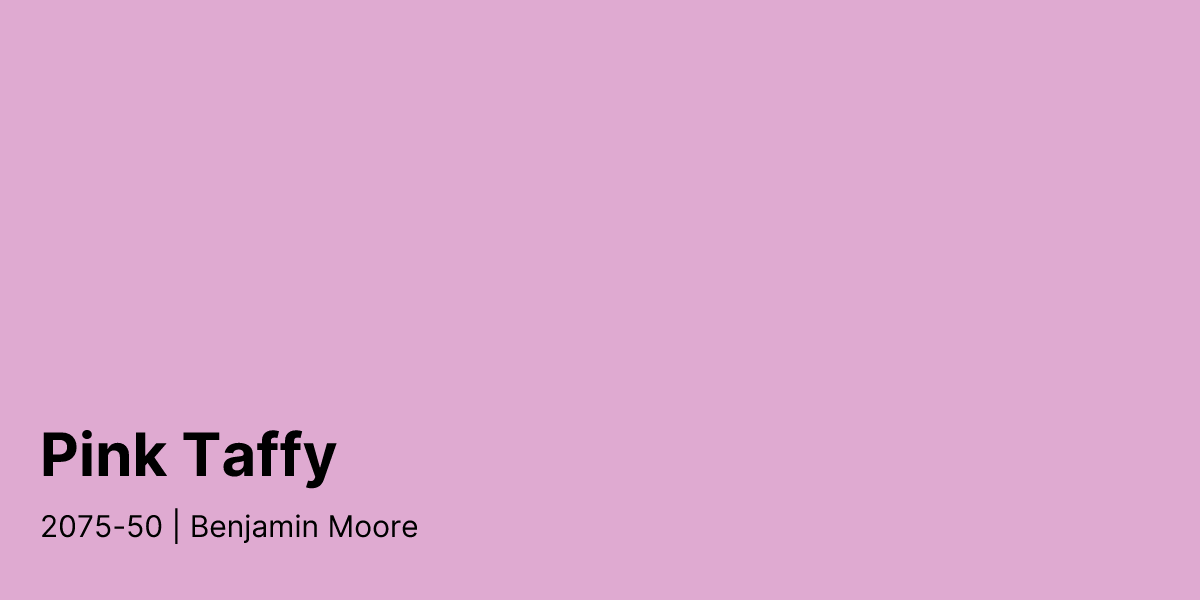 Benjamin Moore Pink Taffy 2075-50 Paint Color | PaintPlan