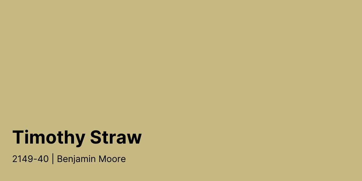 Benjamin Moore Timothy Straw 2149-40 Paint Color | PaintPlan