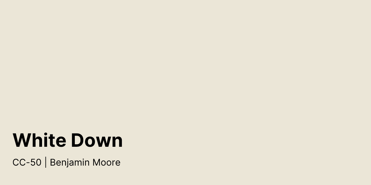 Benjamin Moore White Down CC-50 Paint Color | PaintPlan