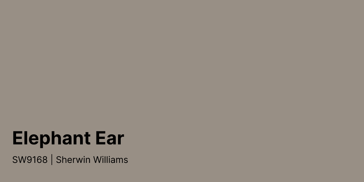 Sherwin Williams Elephant Ear SW9168 Paint Color | PaintPlan