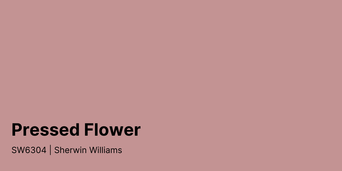 Sherwin Williams Pressed Flower SW6304 Paint Color | PaintPlan