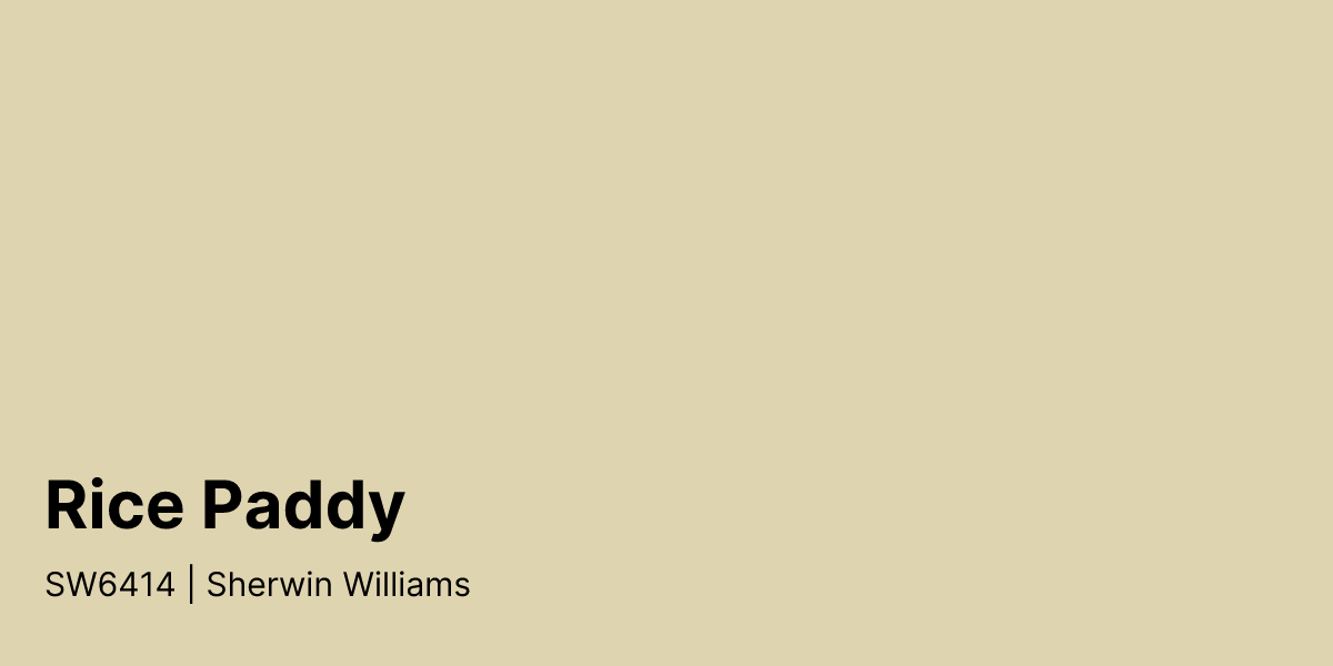Sherwin Williams Rice Paddy SW6414 Paint Color | PaintPlan