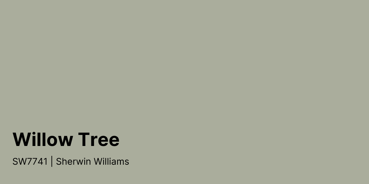 Sherwin Williams Willow Tree SW7741 Paint Color | PaintPlan